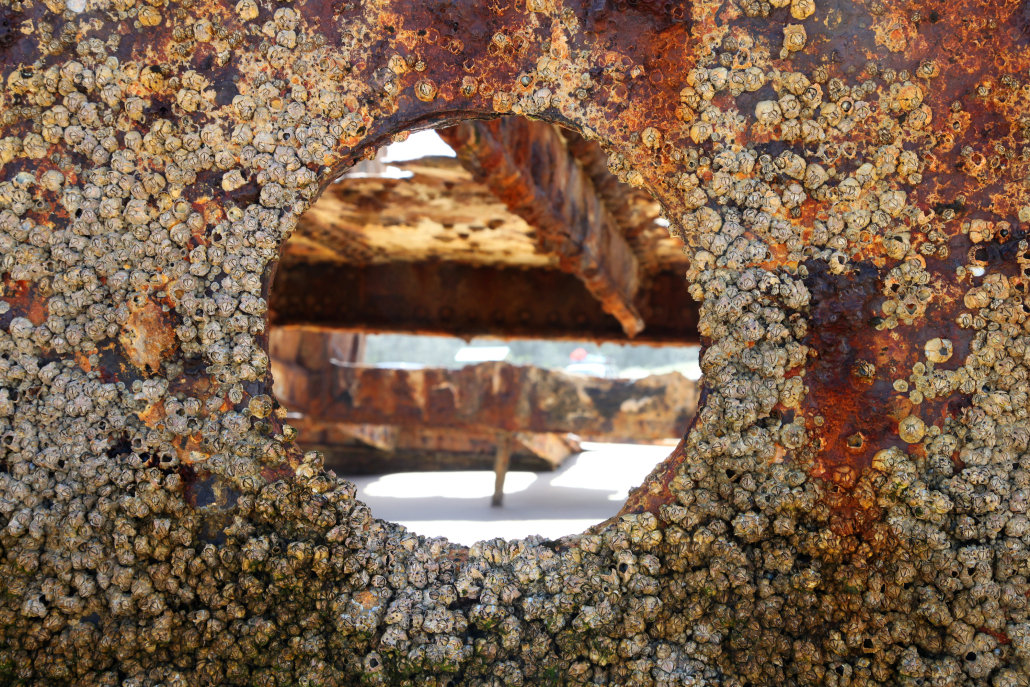 The Problems of Biofouling and Corrosion - pronicare-project.com