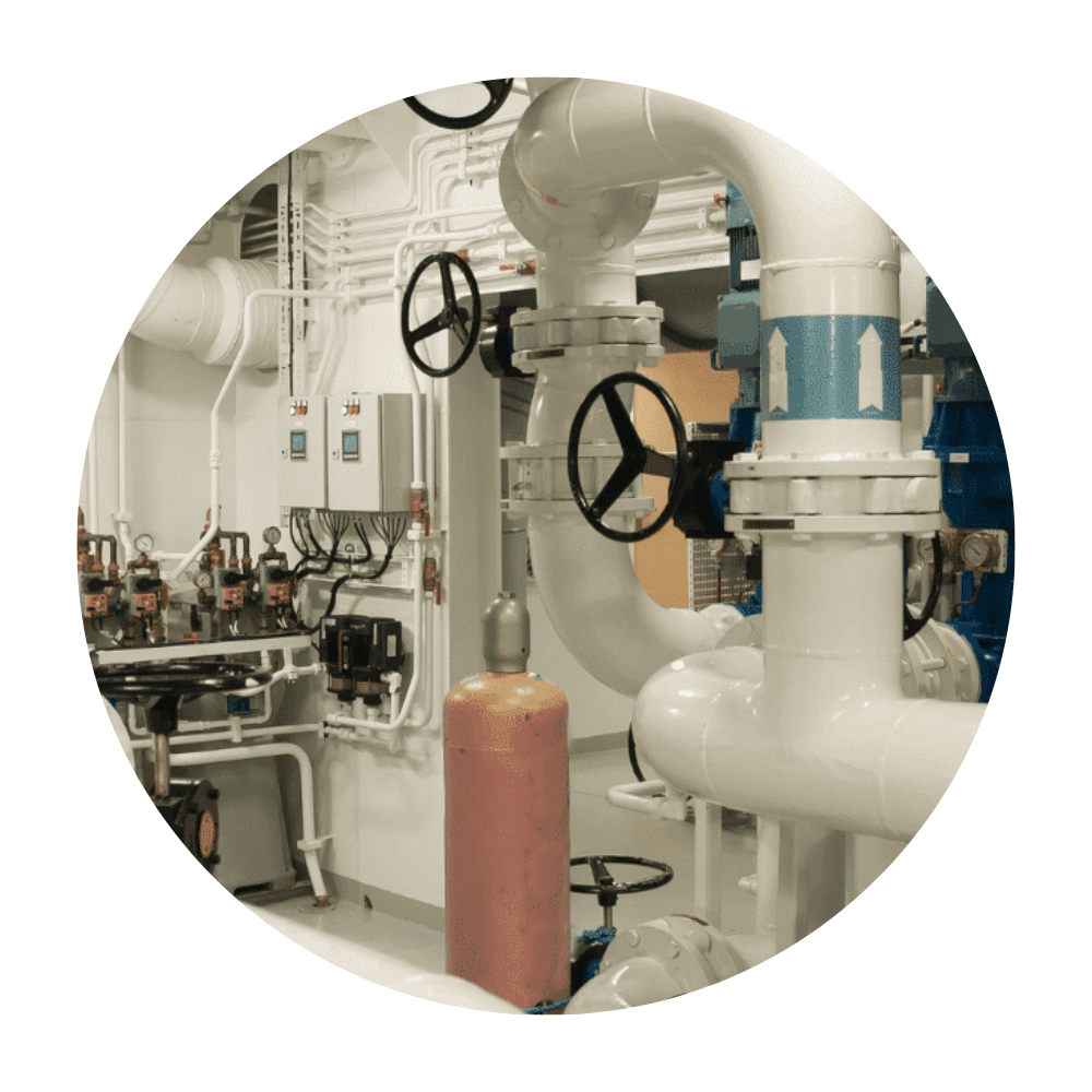 Homepage - pronicare-project.com